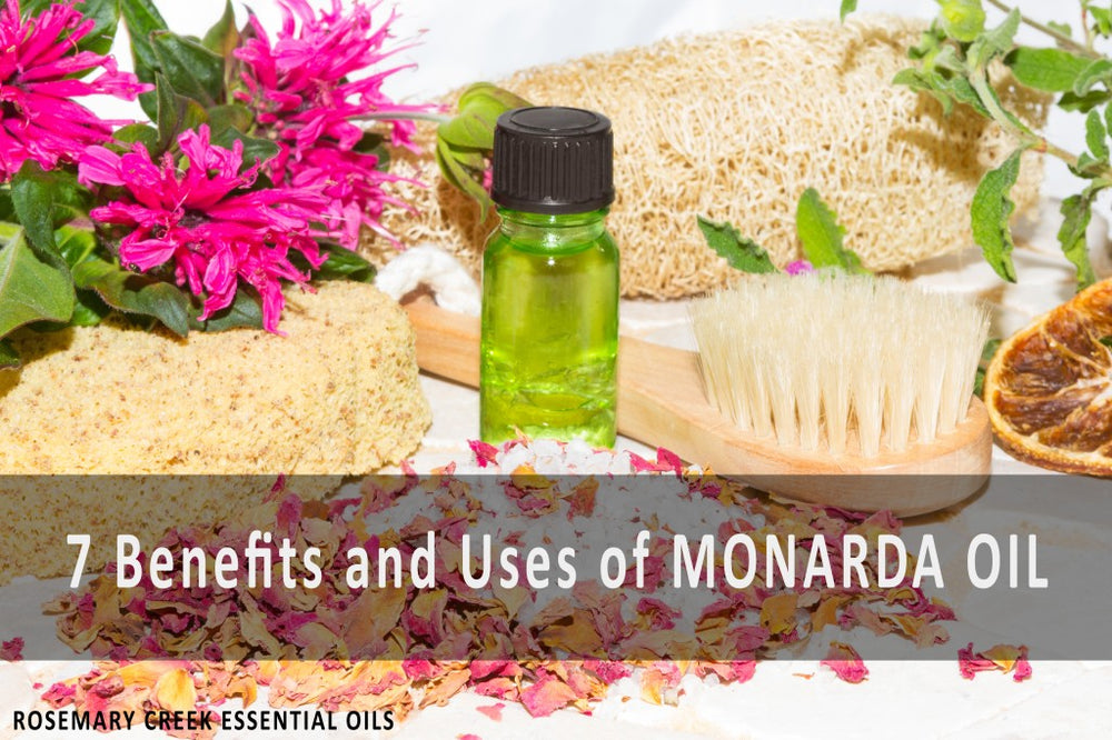 7 Benefits and Uses of Monarda Essential Oil – Rosemary Creek Essential ...